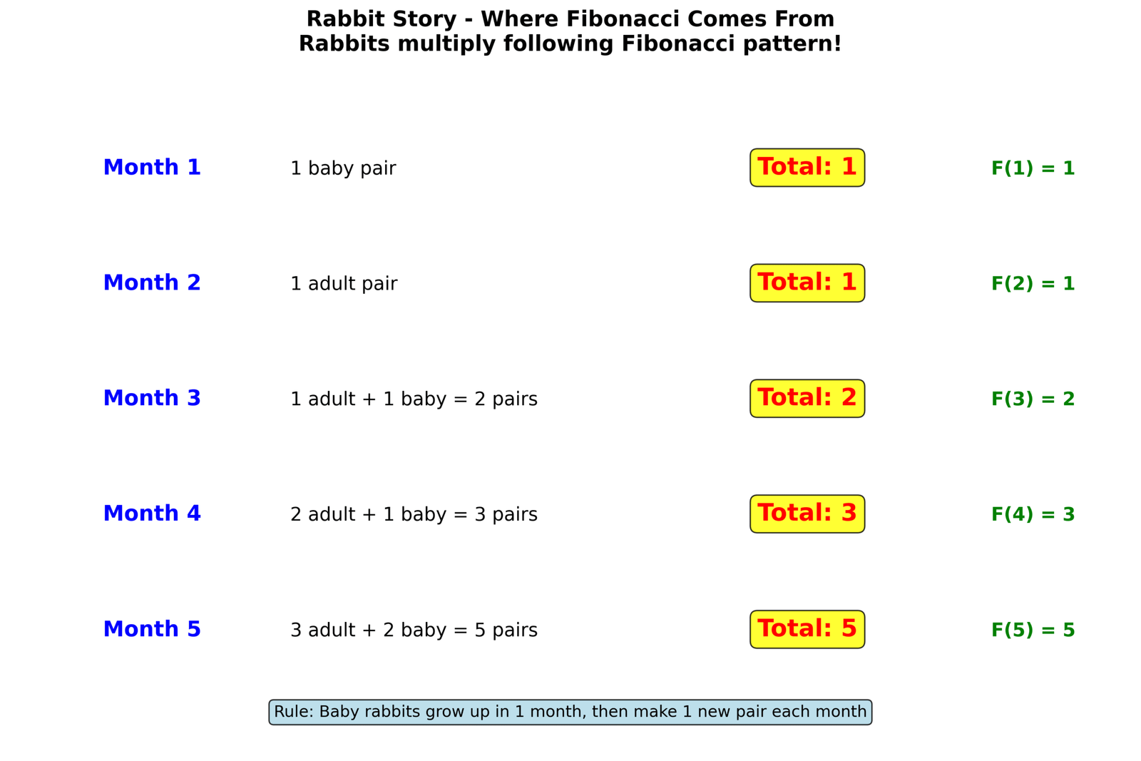 Fibonacci Series in Python - EmiTechLogic Fibonacci Series in Python - EmiTechLogic
